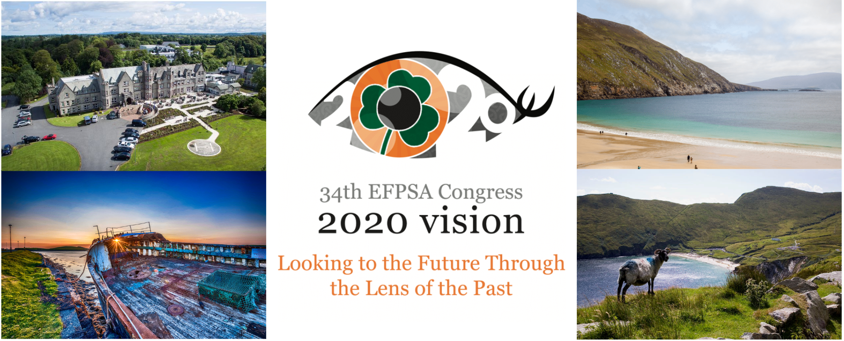 EFPSA Congress 2020